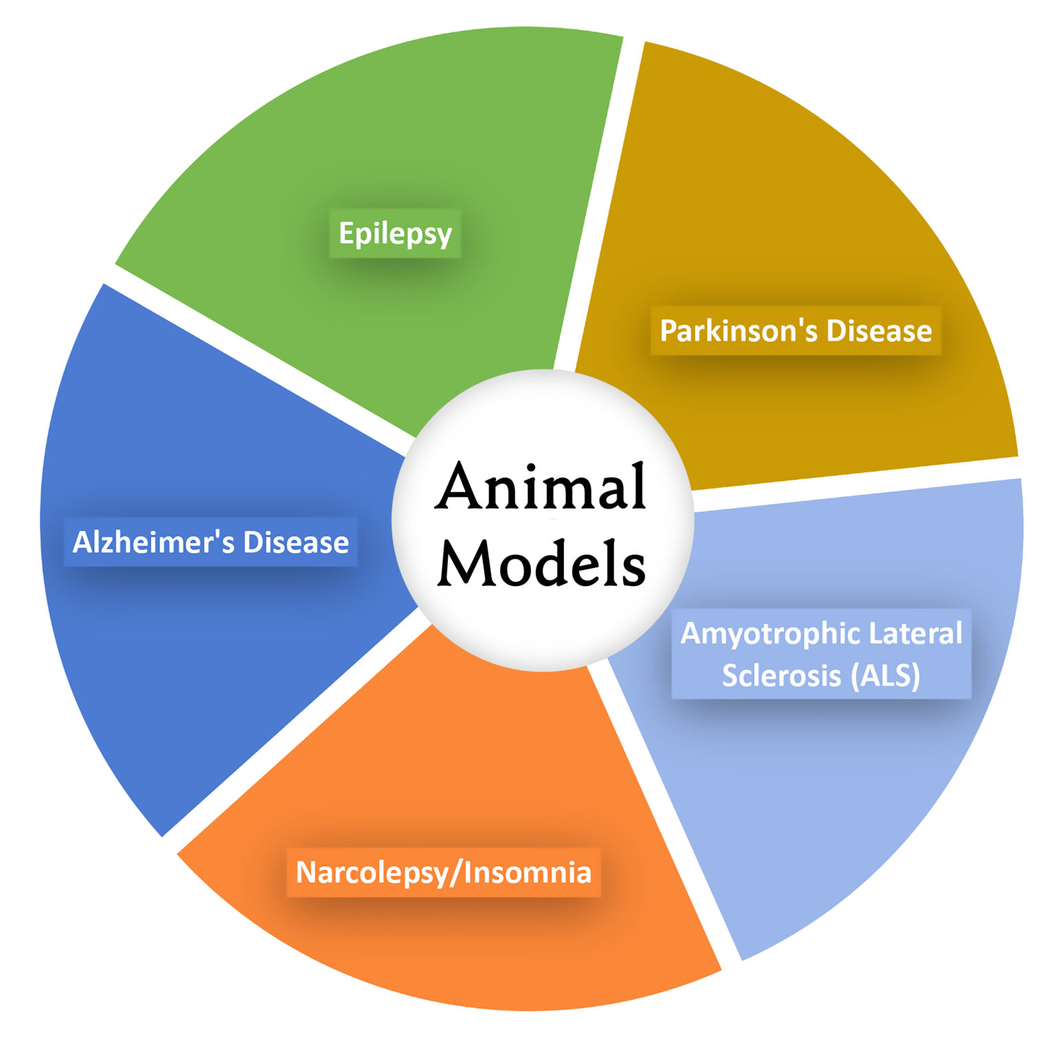Animal Models – Advanced Targeting Systems