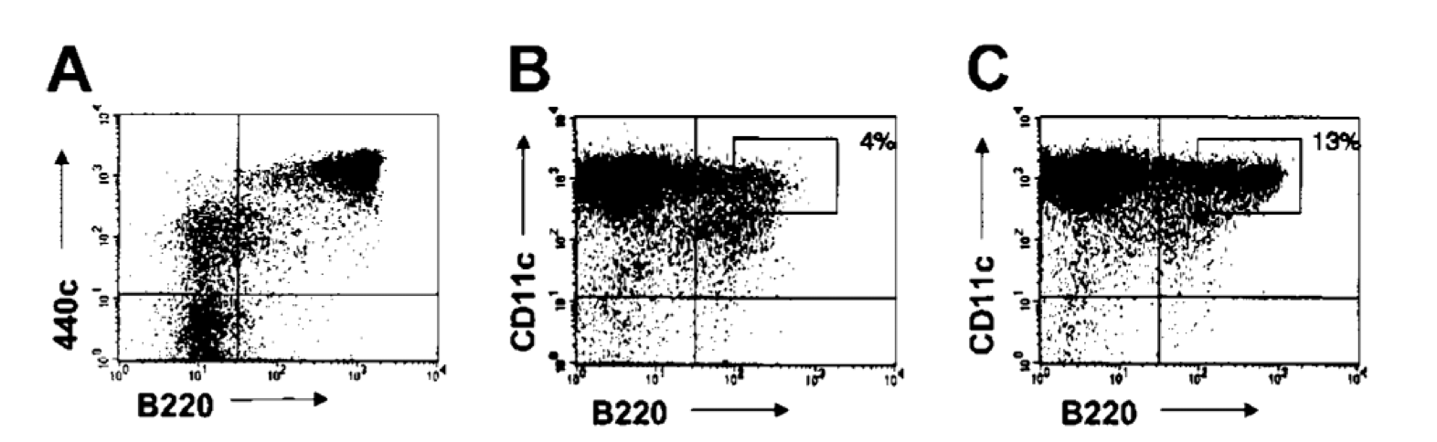 Saporin Uses in Immunology – Advanced Targeting Systems