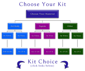Which Kit – Advanced Targeting Systems